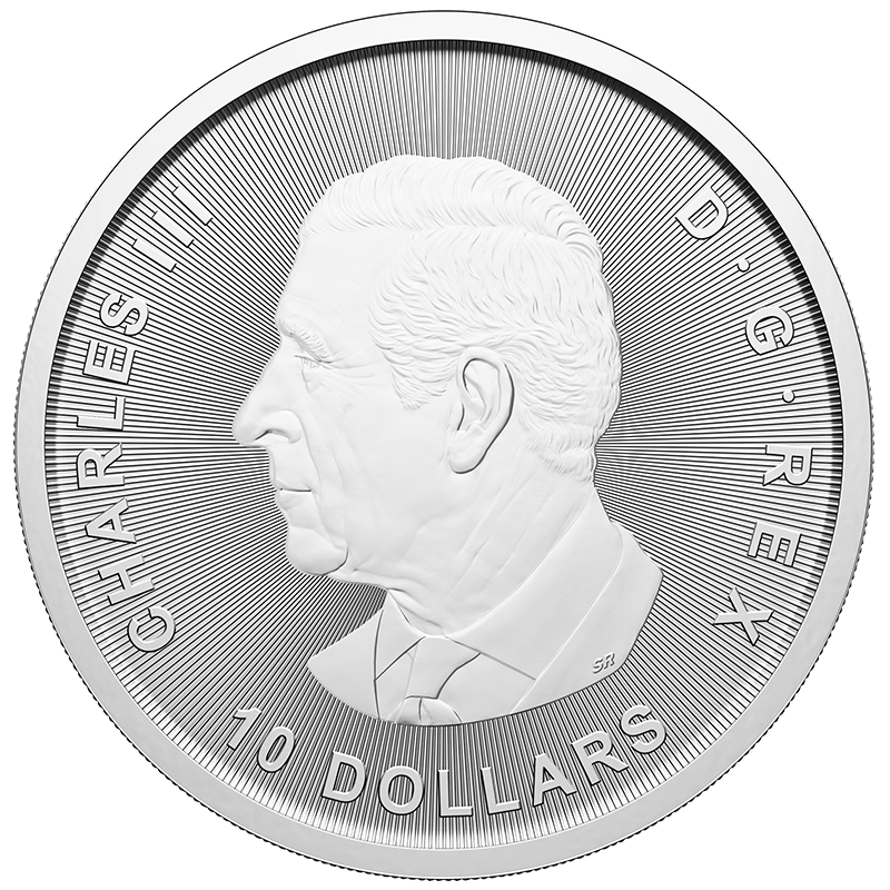 Buy 2 oz Bull and Bear Silver Coin (2025) | Price in Canada | TD ...